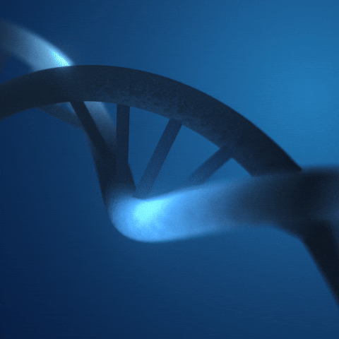 Vishwanath Biotech - Innovating Healthcare